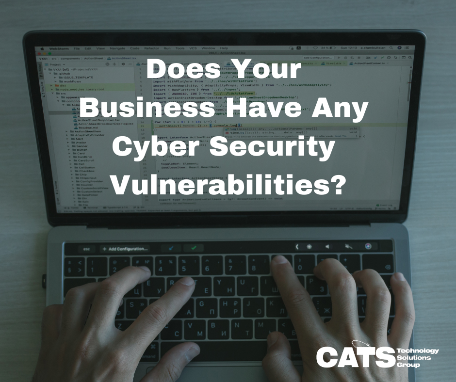 Does Your Business Have Any Cyber Security Vulnerabilities? | % CATS ...